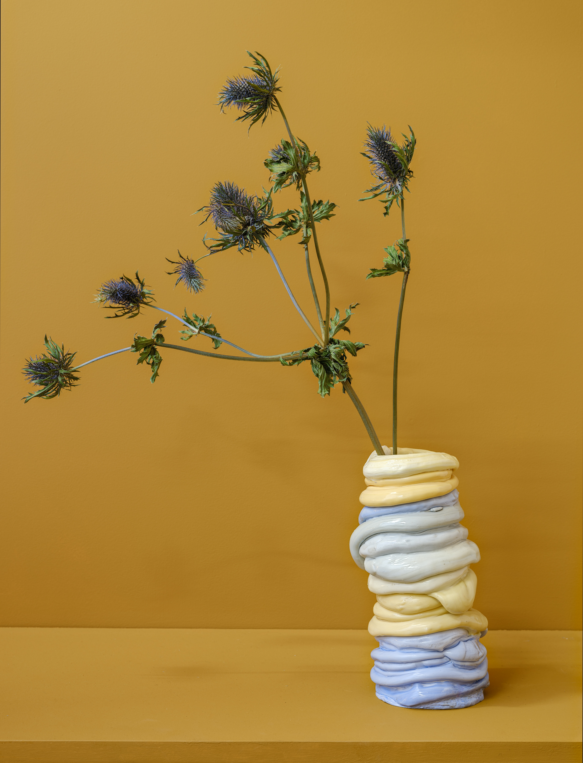 House of Voltaire Presents James Shaw - Studio Voltaire