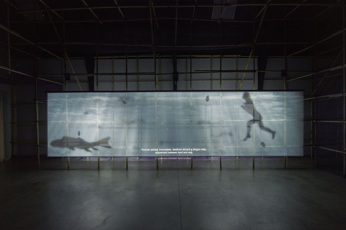 Lap-See Lam, Floating Sea Palace - Studio Voltaire