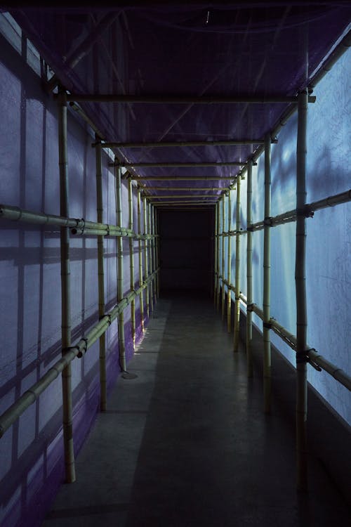 Lap-See Lam, Floating Sea Palace - Studio Voltaire