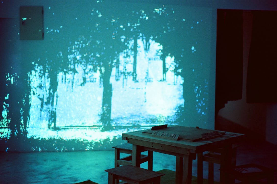 Shamica Ruddock, The River Between - Studio Voltaire