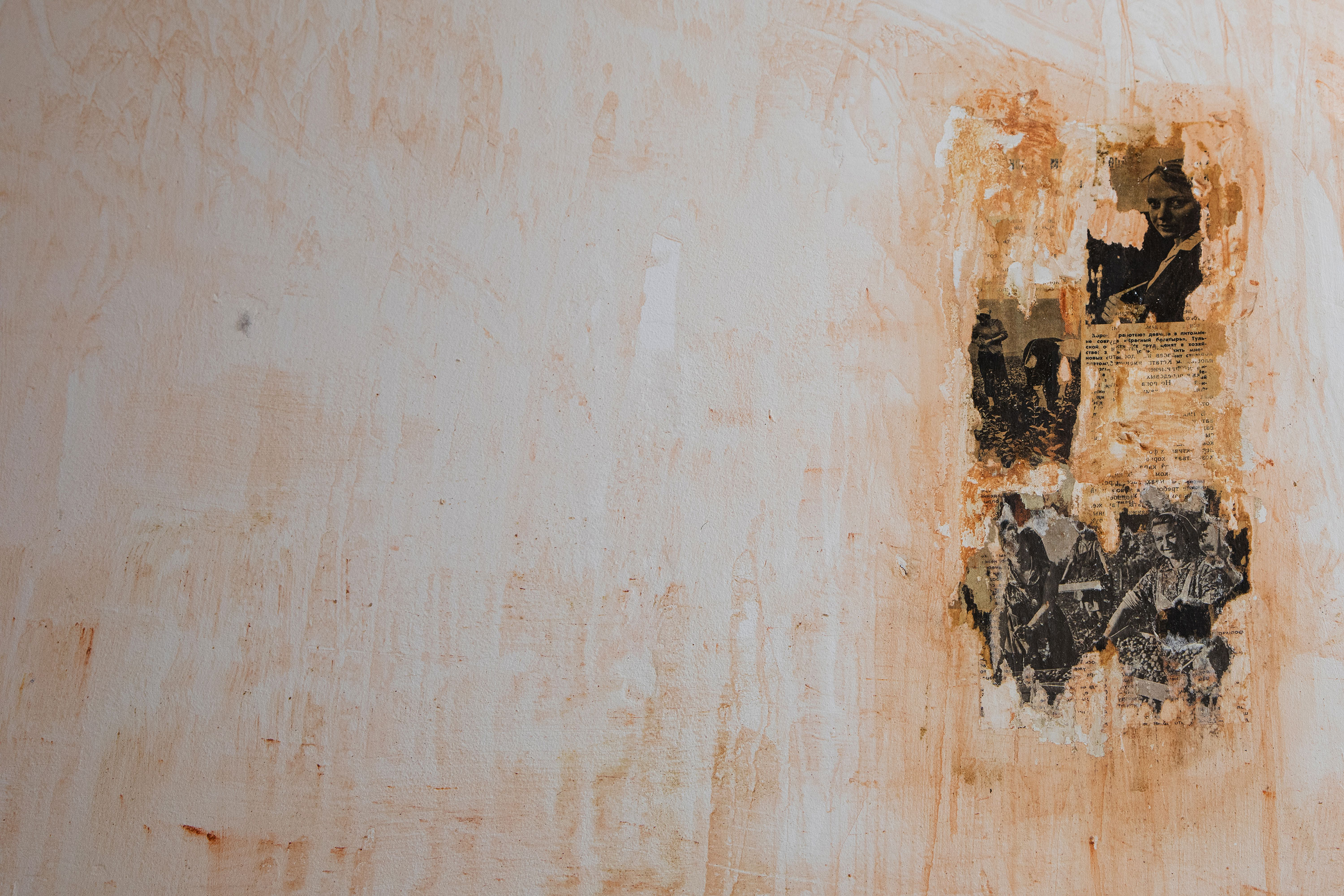 Olga Grotova, The Frienship Garden - Studio Voltaire