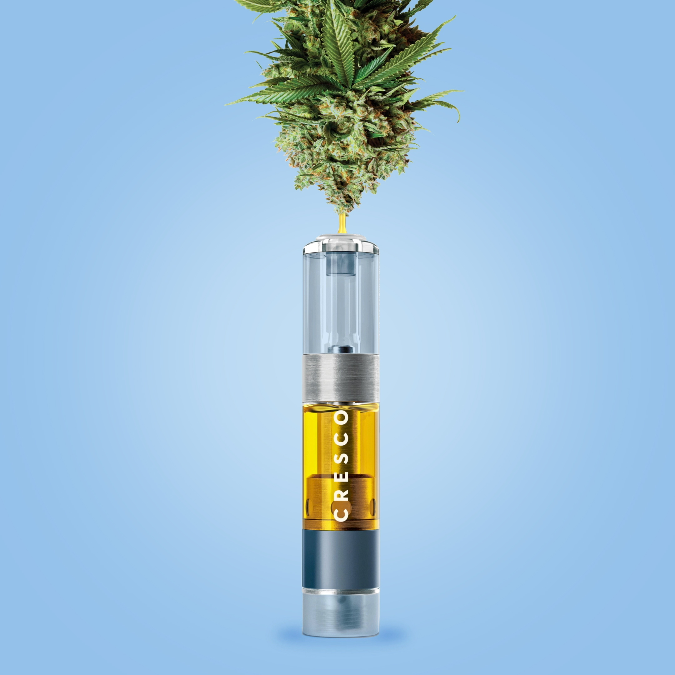 Sunnyside | Medical & Recreational Cannabis Dispensaries