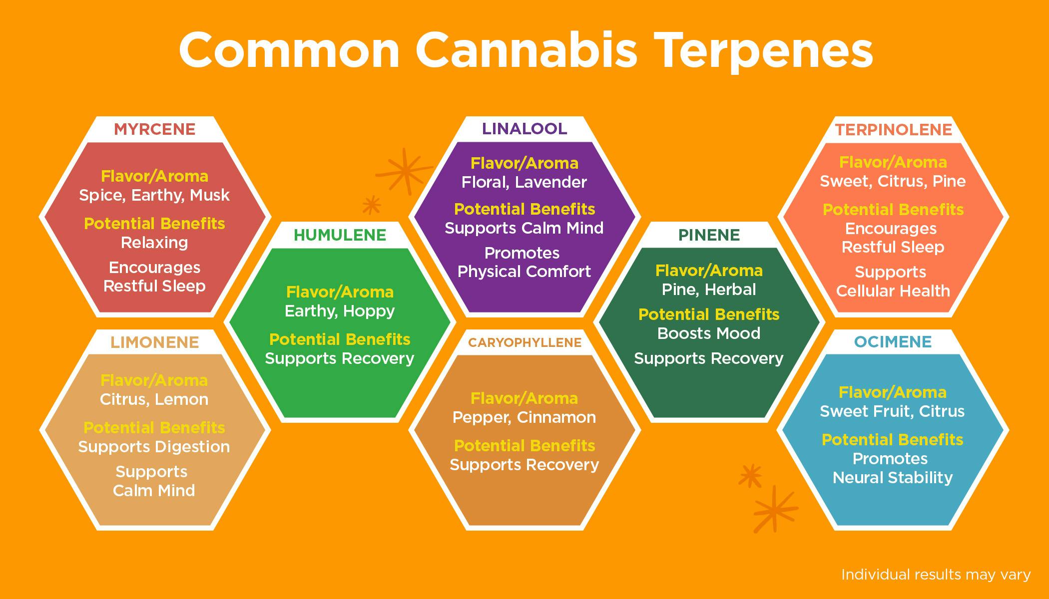 Terpenes Weed Myrcene: Understanding This Key Cannabis Terpene