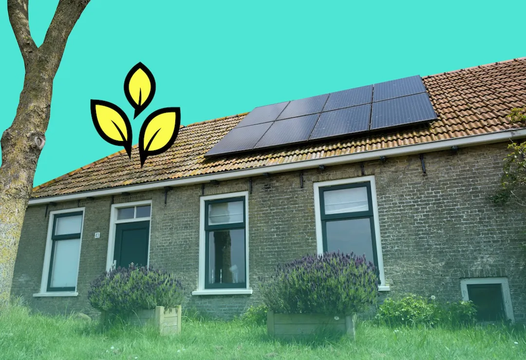 The 5 steps to creating a modern eco home [UK, 2026]