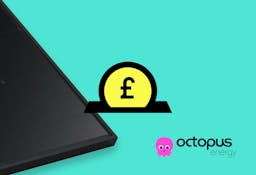 Intelligent Octopus Go: is it worth it? [2025]