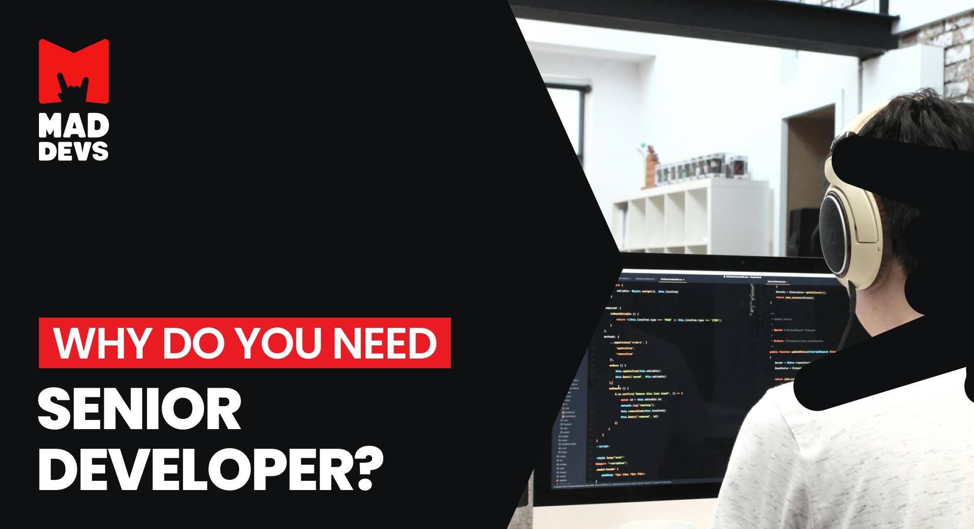 Reasons Why Your Software Project Needs a Senior Developer