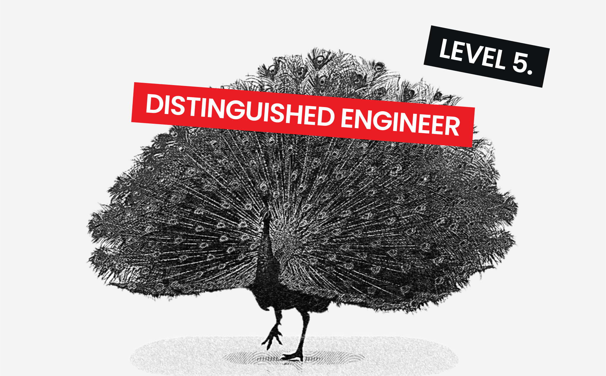 How Developer Seniority Level Matters to Software Development Cost