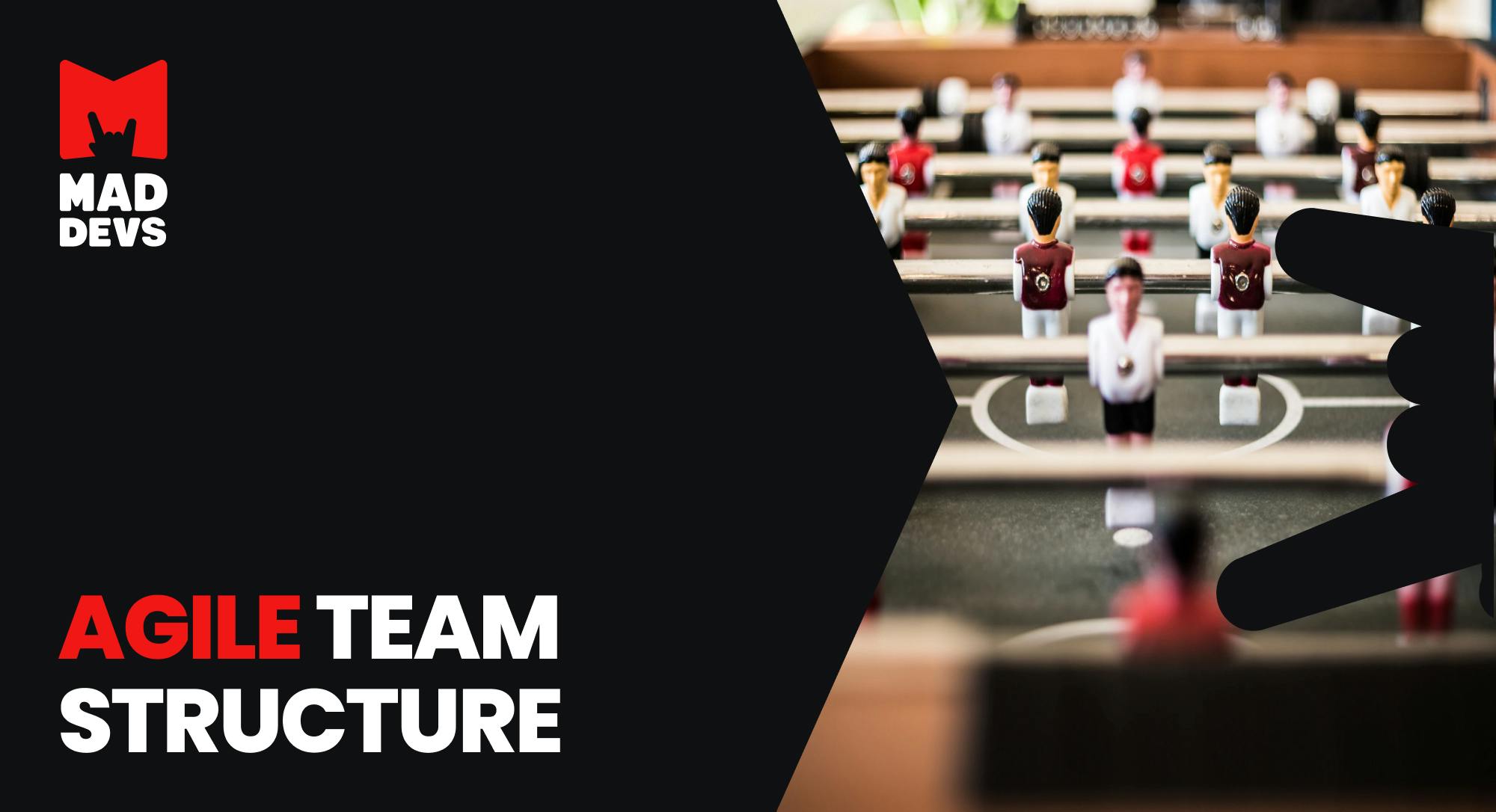 Agile Software Development Team Structure: a Practical Guide