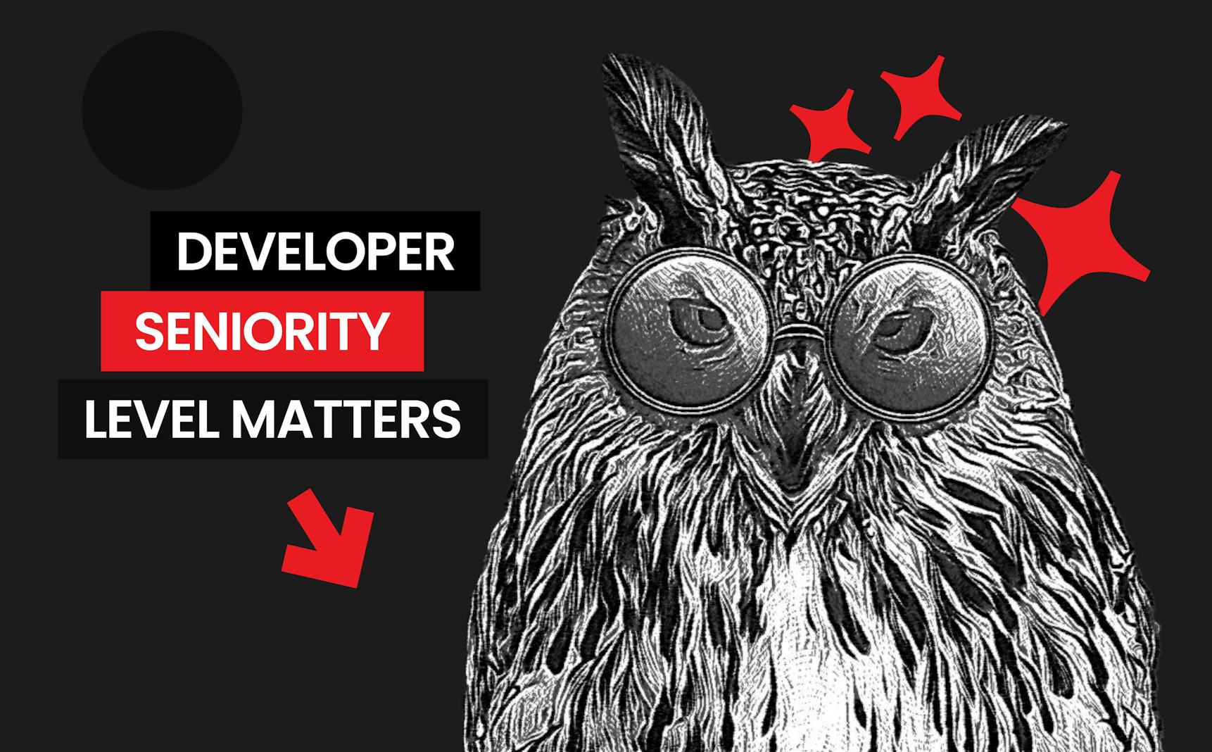 How Developer Seniority Level Matters to Software Development Cost