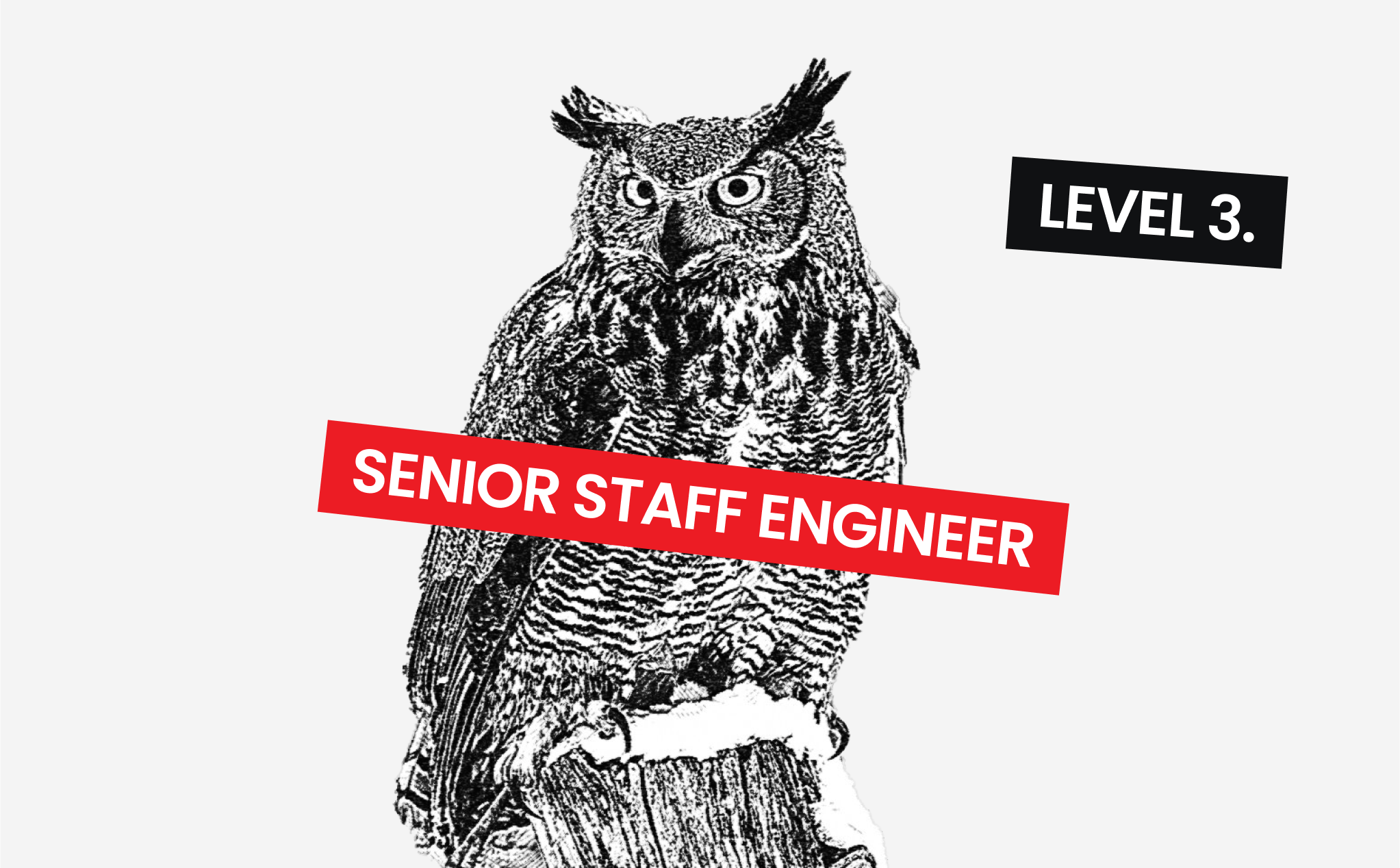 How Developer Seniority Level Matters to Software Development Cost