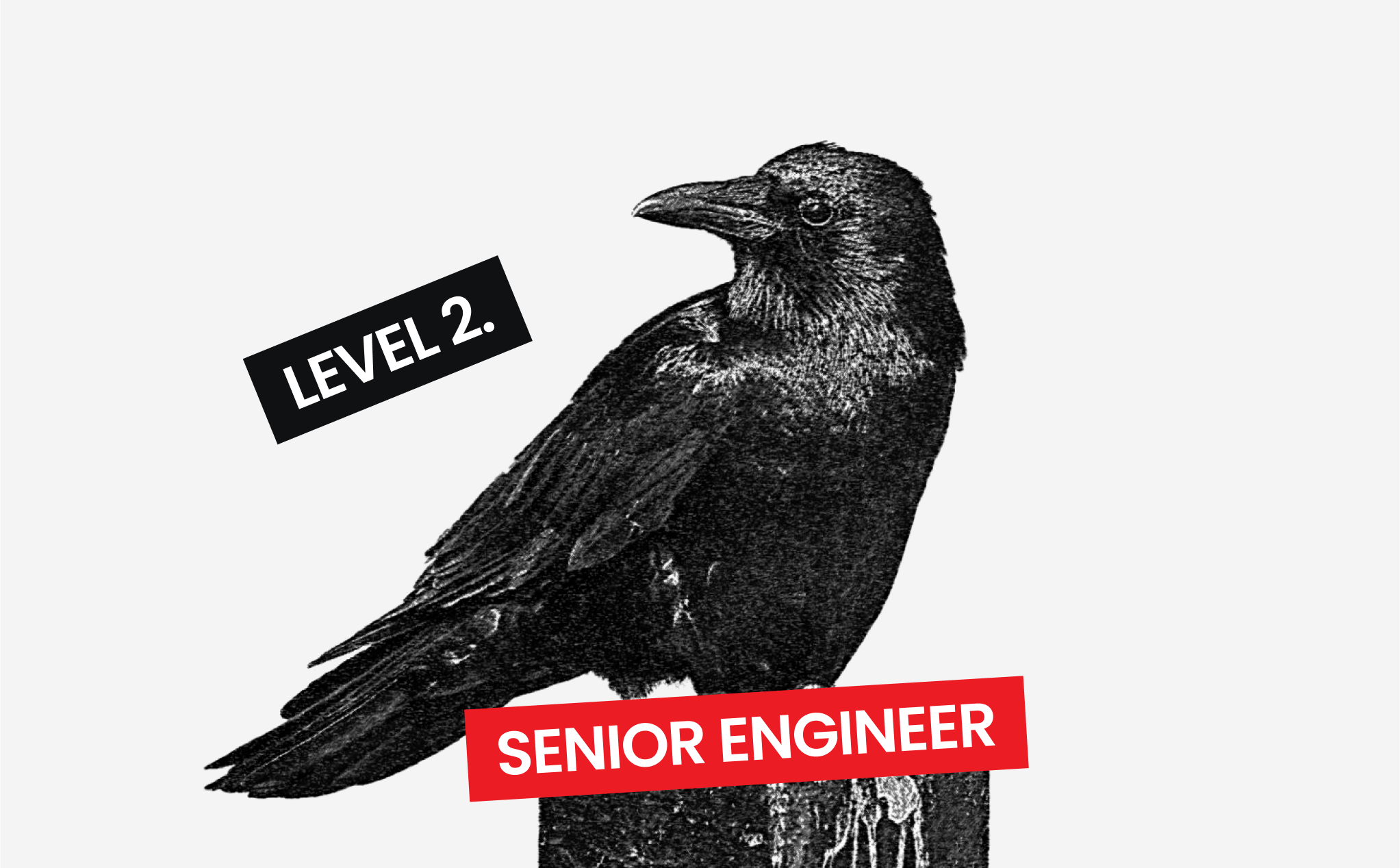 How Developer Seniority Level Matters to Software Development Cost