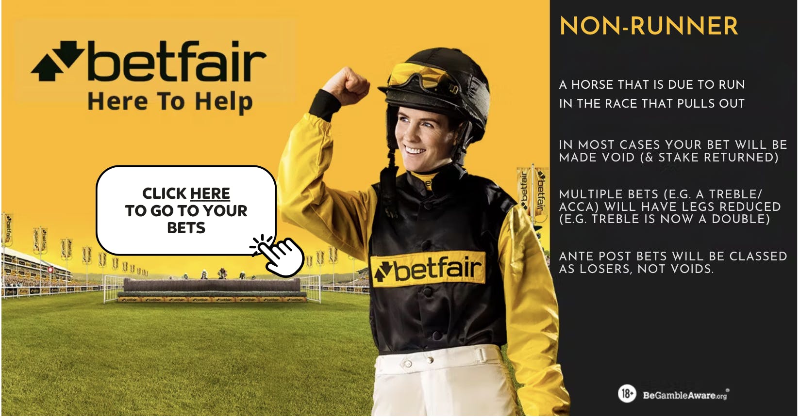 Horse Racing - Non-Runner