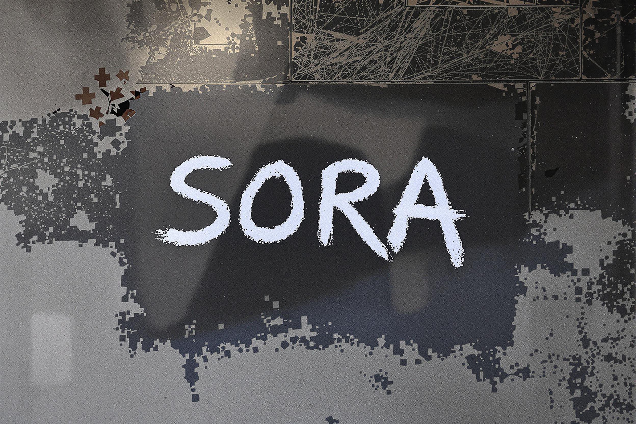 How to Access Sora in Europe?
