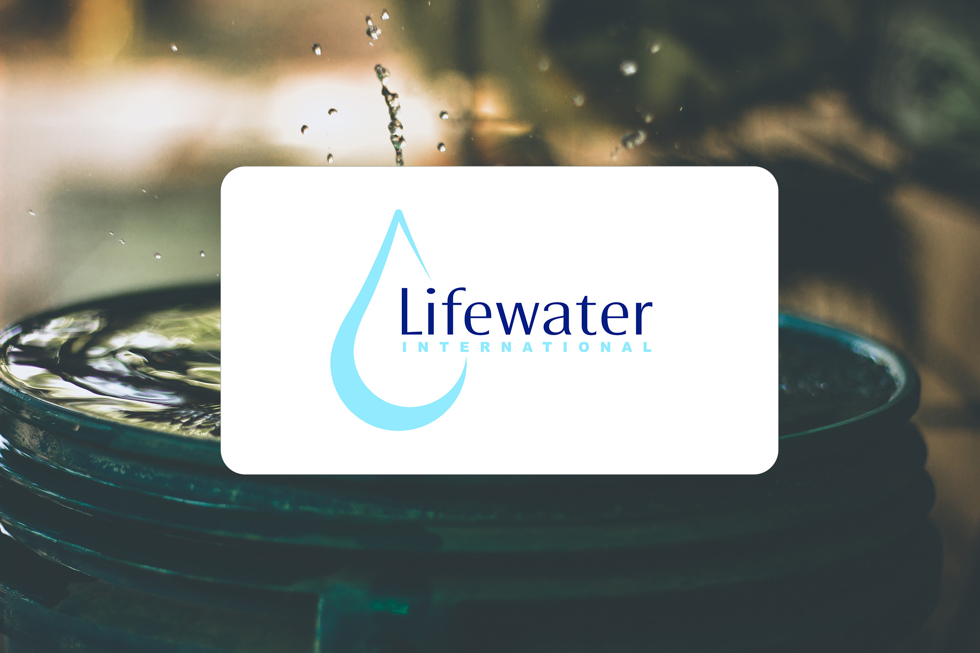 SwiftOtter + LifeWater: Otters love Water