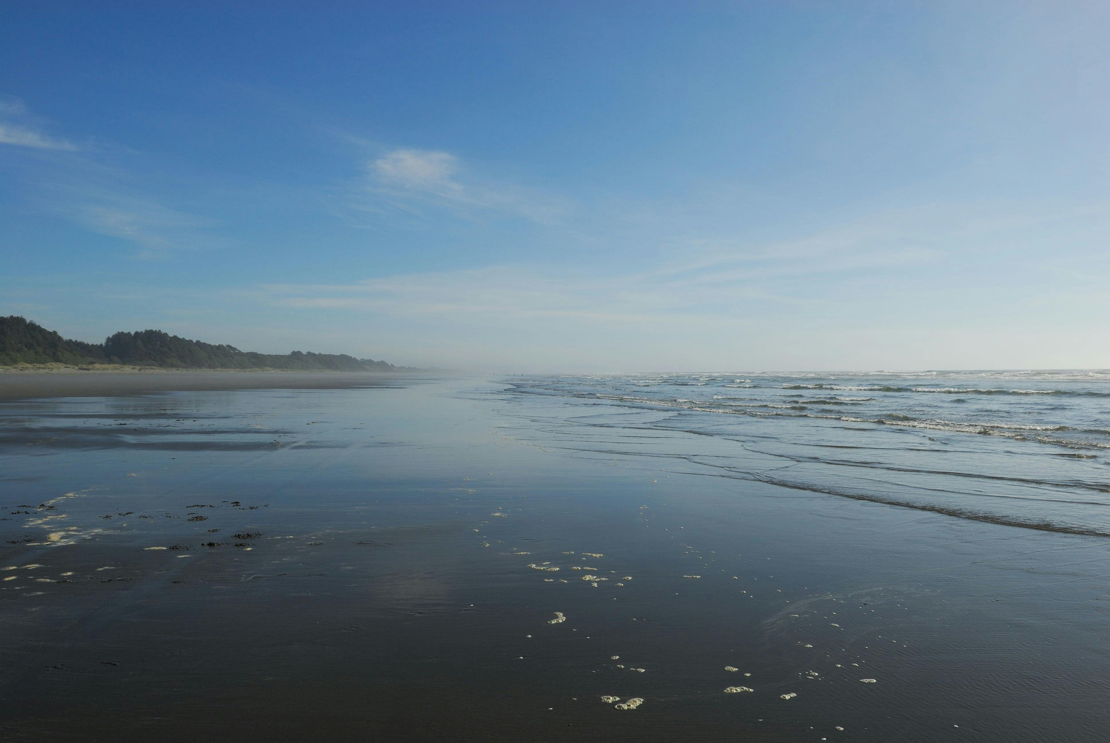 Humboldt Baykeeper - Swim Guide