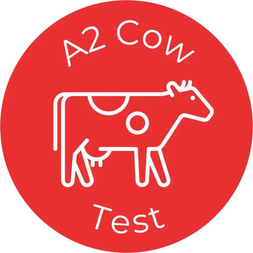 SwissDeCode DNAFoil A2 Family SwissDeCode DNAFoil A2 Family