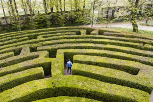 Navigating the legal maze: retiring from your business | Switalskis