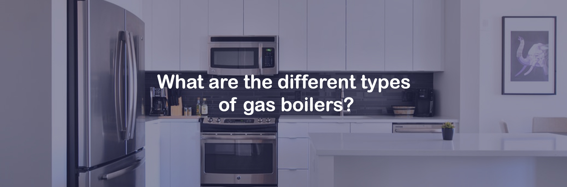 What are the different types of gas boilers?