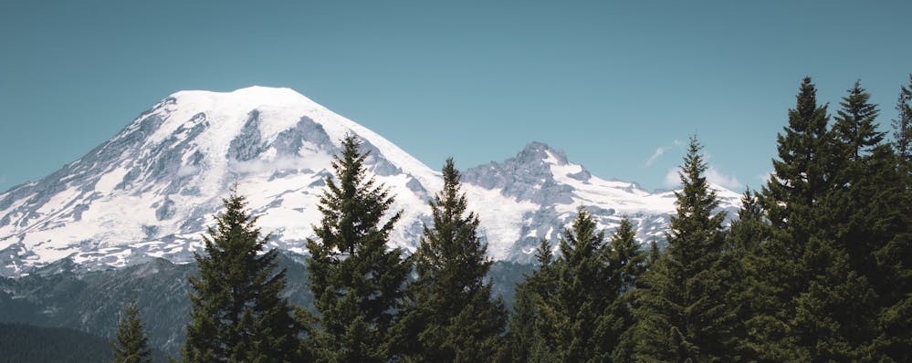 Washington 2024 Historical Payroll Tax Rates · PaycheckCity