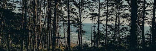 Oregon Payroll Tools, Tax Rates and Resources · PaycheckCity