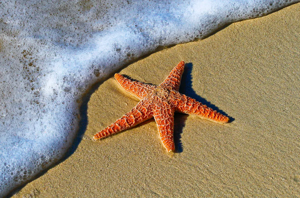 Florida Payroll Tools, Tax Rates and Resources · PaycheckCity