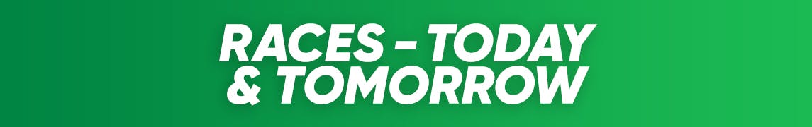 Greyhound Racing Betting & Odds | Greyhound Fields | TAB