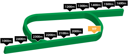 TAB | Pinjarra Races Today, Results, Replays, Tips | Pinjarra Racecourse
