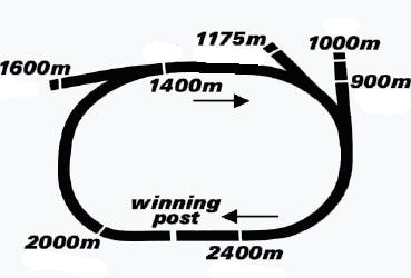 TAB | Albury Races Today, Results, Replays | Albury Racecourse Information