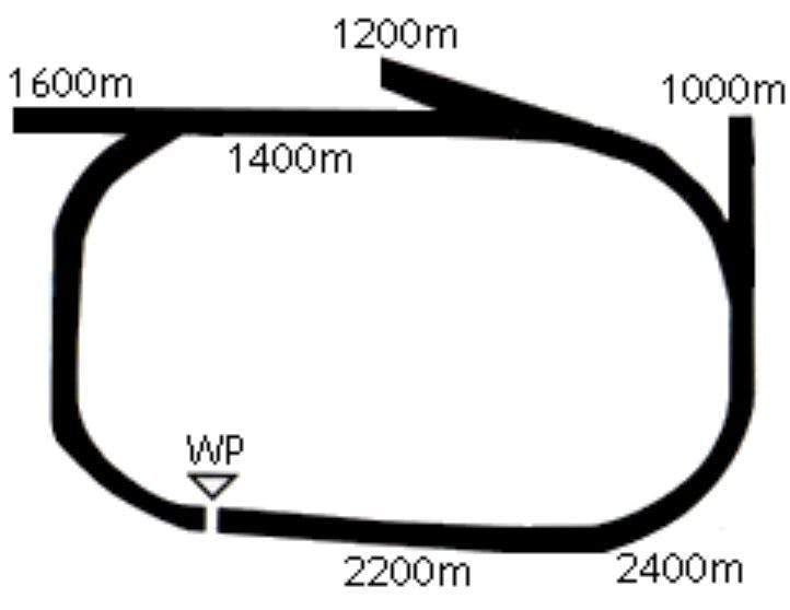TAB | Canberra Races Today, Results, Replays | Thoroughbred Park Racecourse