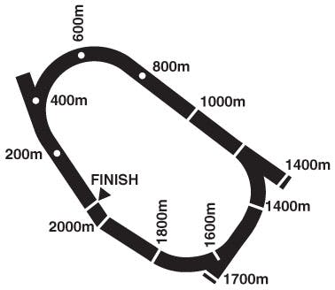TAB | Warrnambool Races Today, Results, Replays | Warrnambool Racecourse