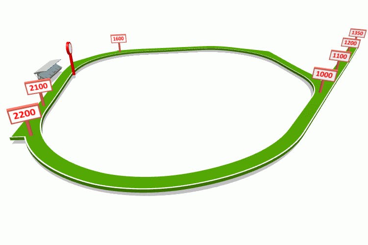 TAB | Wyong Races Today, Results, Replays, Tips | Wyong Racecourse