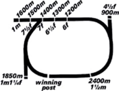TAB | Newcastle Races Today, Results, Replays | Newcastle Racecourse