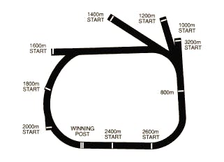 TAB | Randwick Races Today, Results, Replays, Tips | Randwick Racecourse