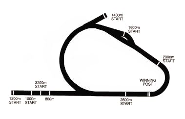 TAB | Flemington Races Today, Results, Replays | Flemington Racecourse