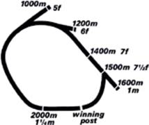 TAB | Mornington Races Today, Results, Replays | Mornington Races Today