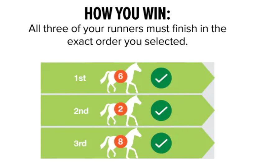 TAB | What Is A Trifecta Bet? | How to Place a Trifecta Bet