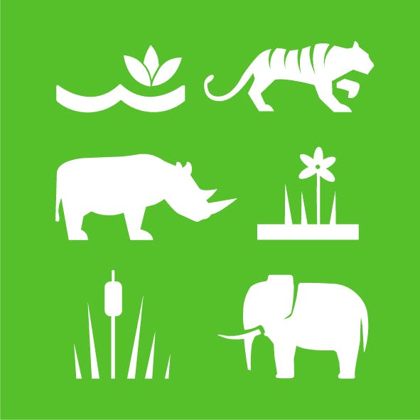 Goal 15: Life on Land | The Global Goals