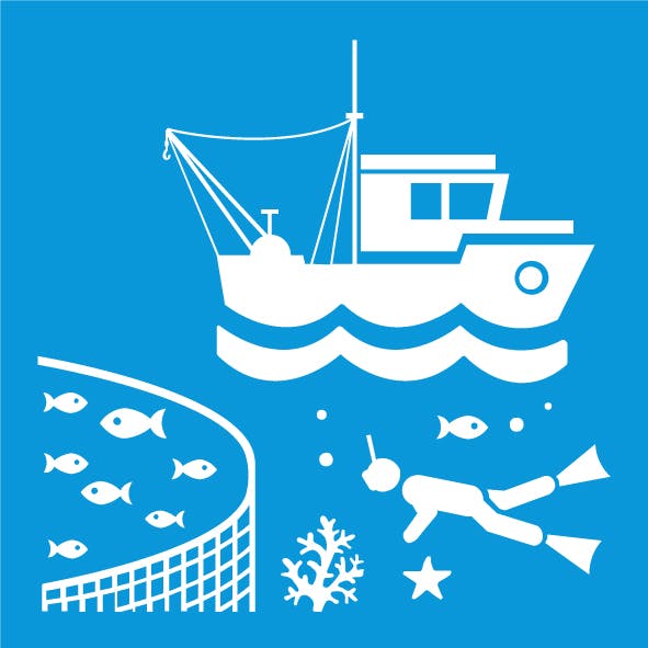 Goal 14: Life Below Water | The Global Goals