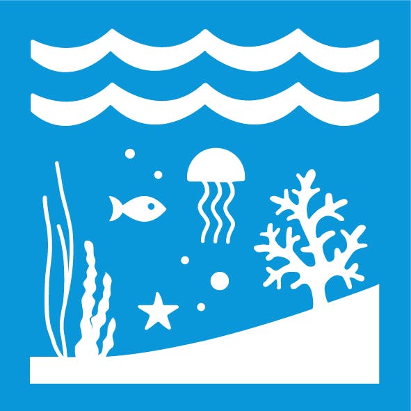 Goal 14: Life Below Water | The Global Goals