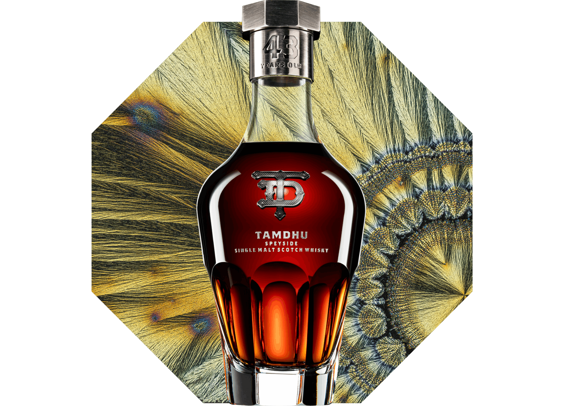 Capturing Dedication - Tamdhu