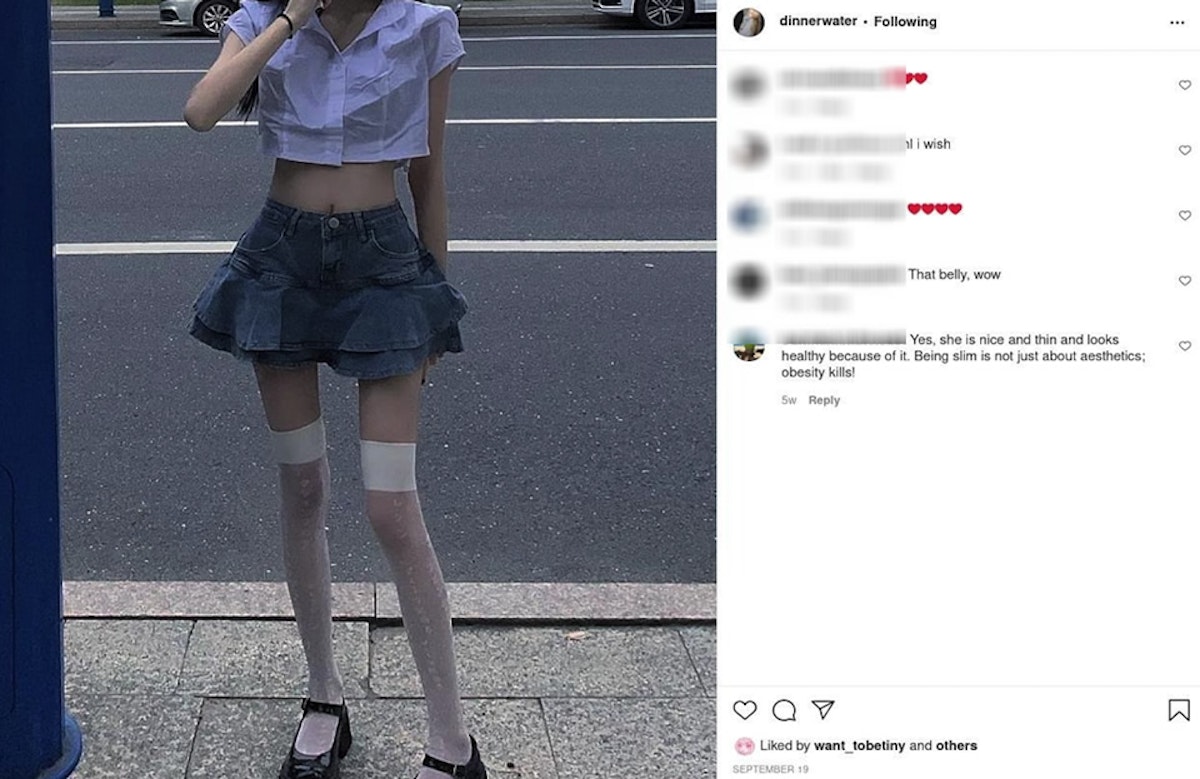 TTP - ‘Thinstagram’: Instagram’s algorithm fuels eating disorder epidemic