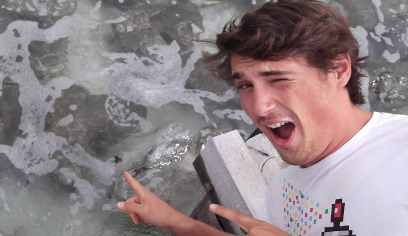 Direct From Polar Bears International