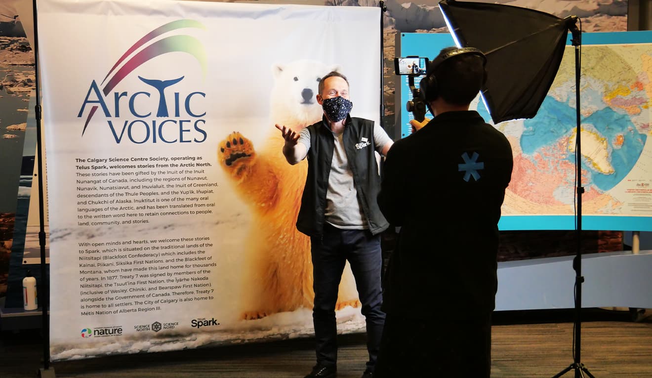 Direct From Polar Bears International