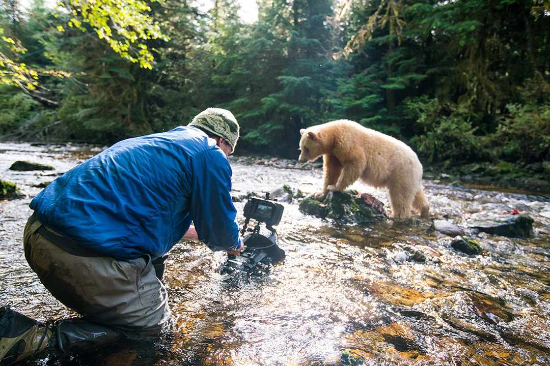 Great Bear Rainforest