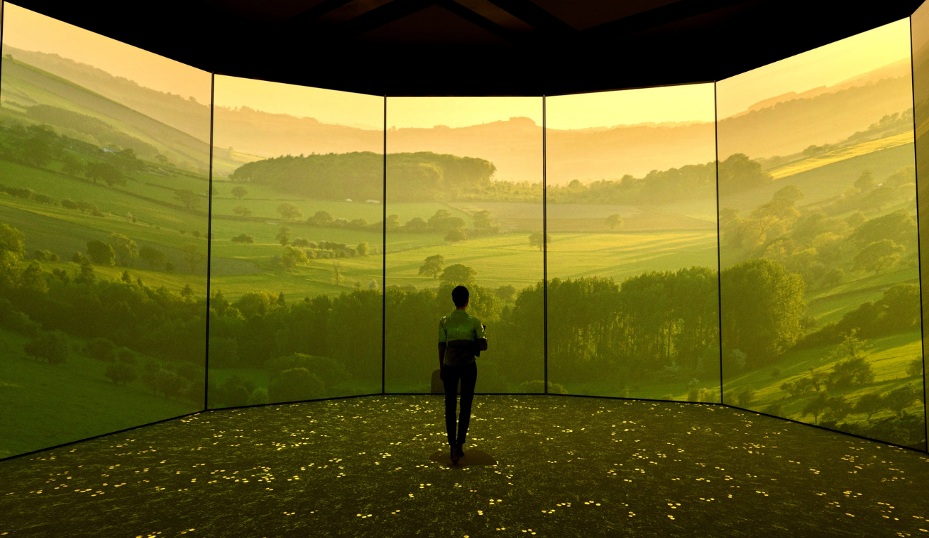 Digital Immersion Gallery