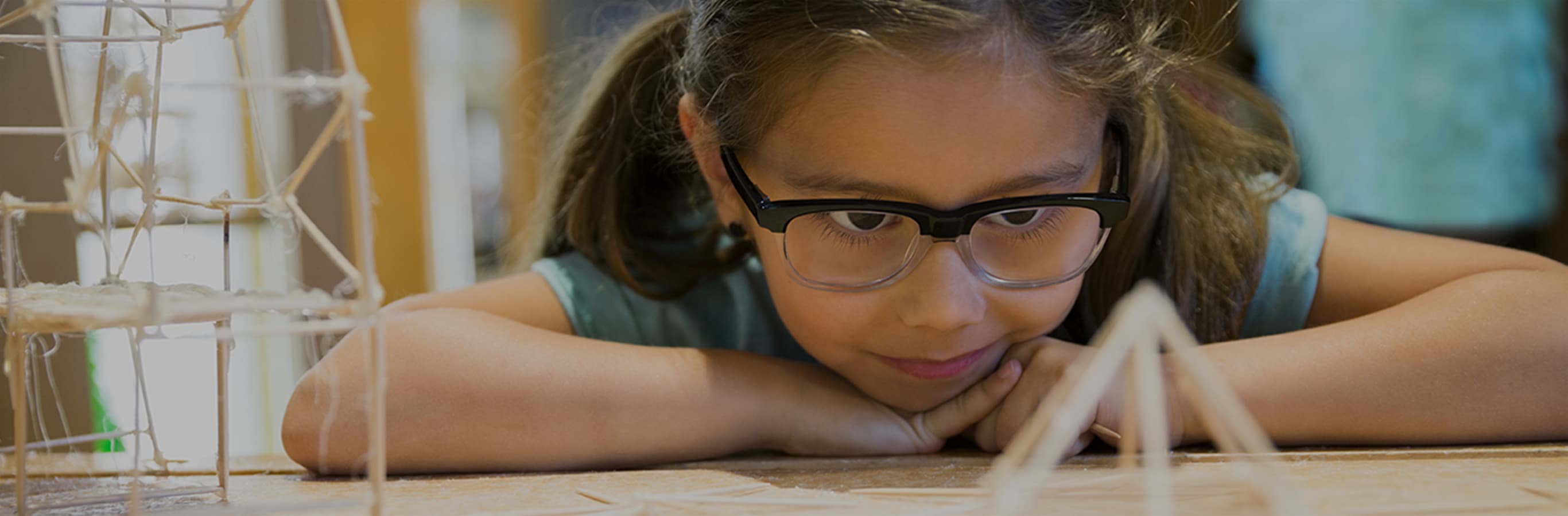 Self-Guided Lesson Plans