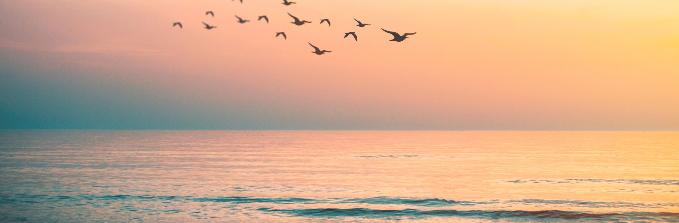 World Migratory Bird Day