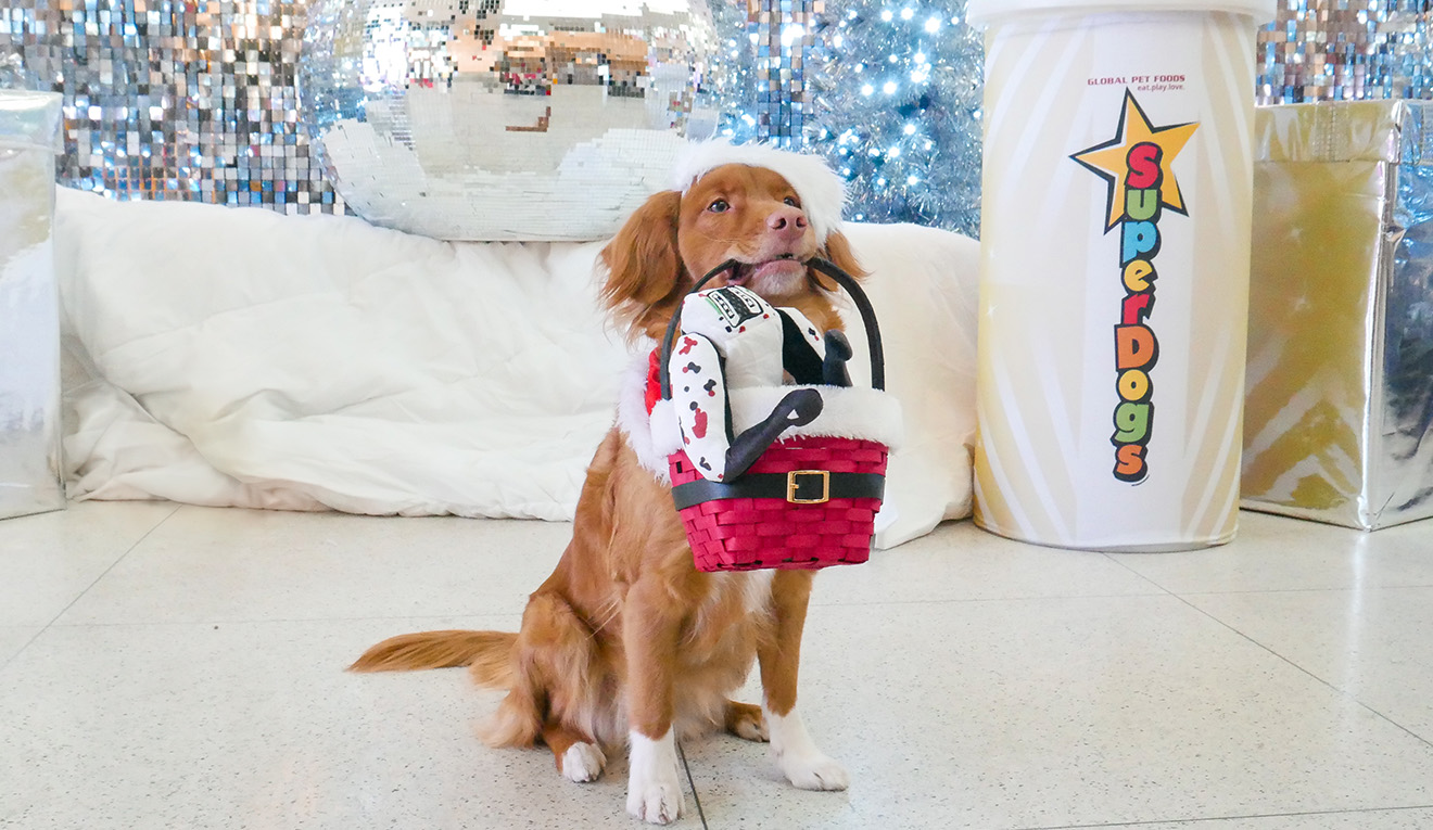 TELUS Spark Science Centre | Family Fun, STEM Learning, and Events in ...