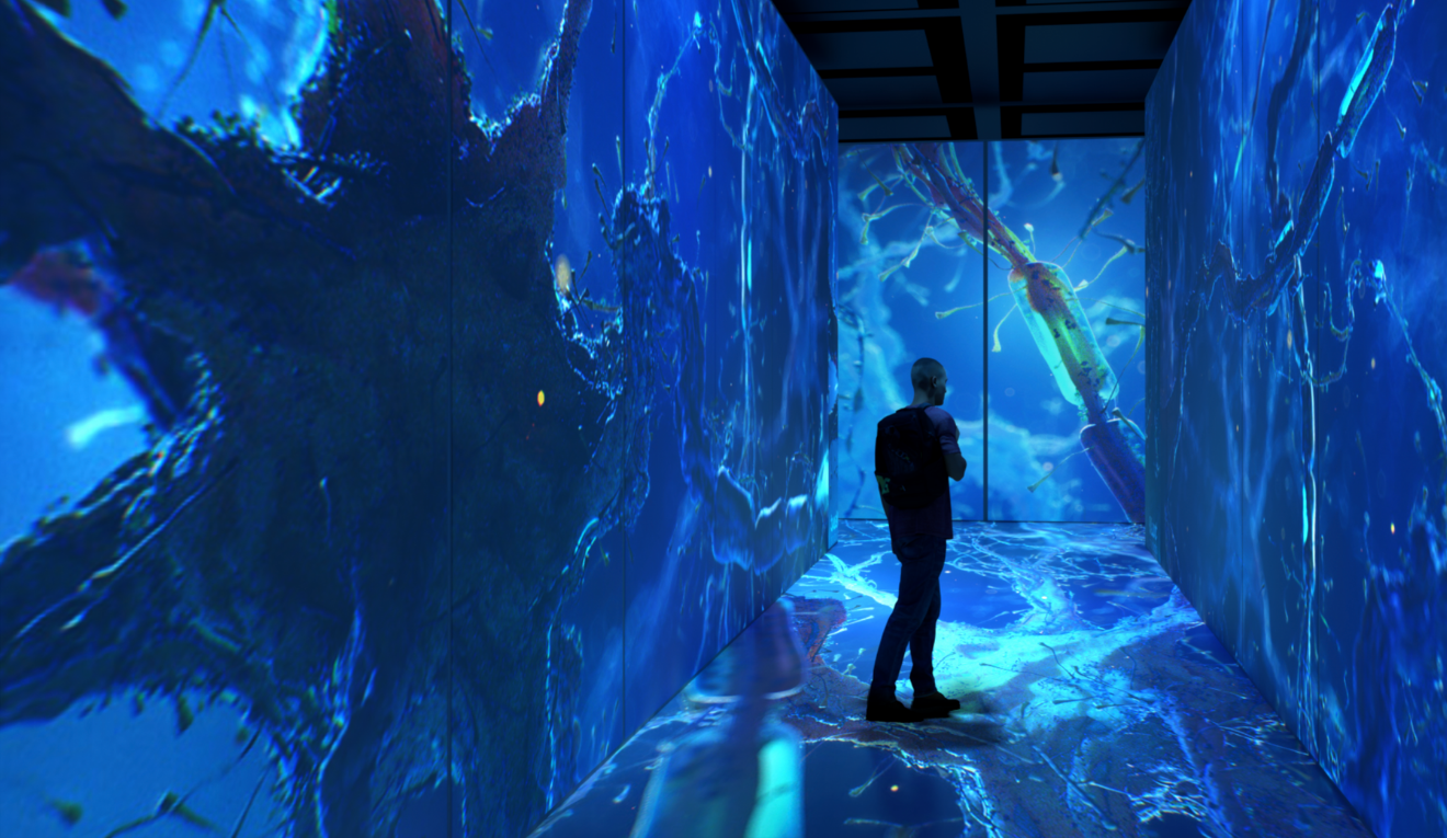 Digital Immersion Gallery