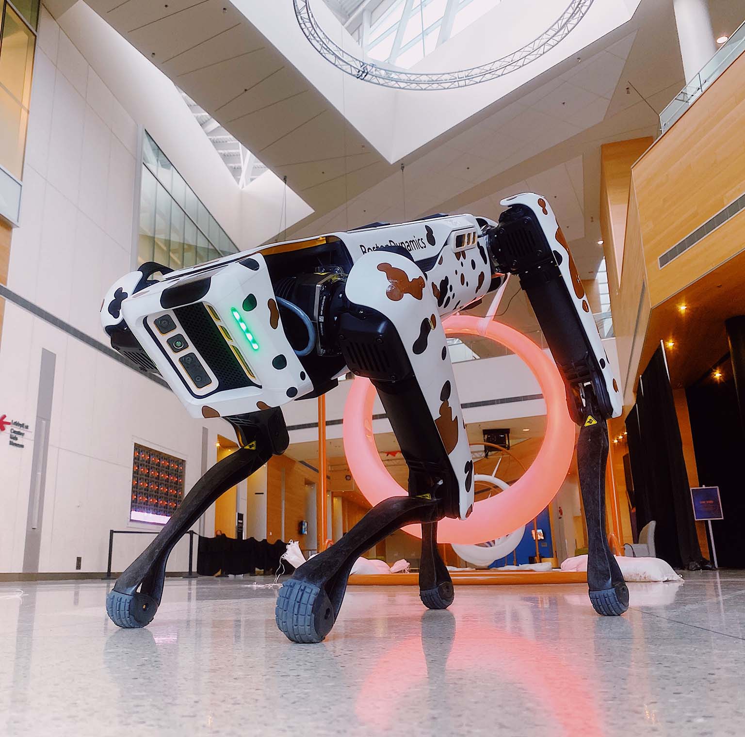 Ready, Set, Robot!